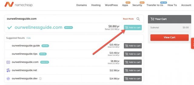 How to Choose and Register Domain Name: Step By Step Guide for Beginners