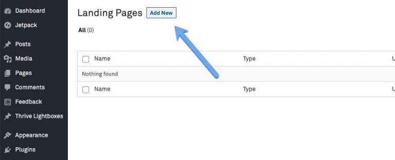 How to Create a Landing Page in WordPress Website?