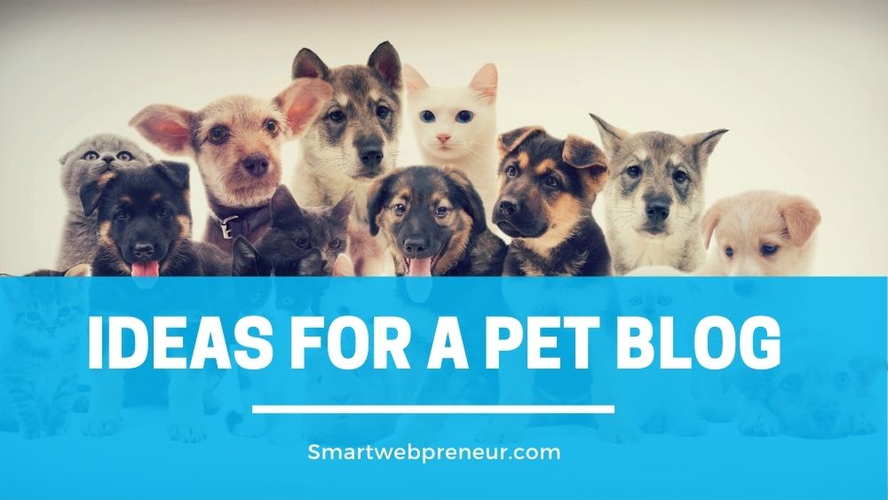 Pet Blog Post Ideas 36 Interesting Topics For Your Pet Blog Pet Blog Post Ideas 36 Interesting Topics For Your Pet Blog